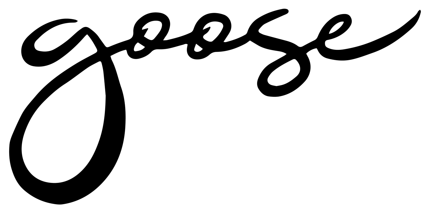 Dripfield.pro — A Setlist Archive for Goose the Band